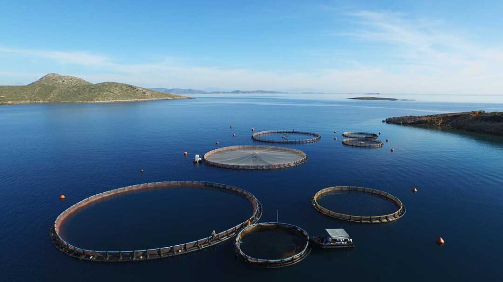 The Secrets Behind Sustainable Fish Farming in Greece – I Food